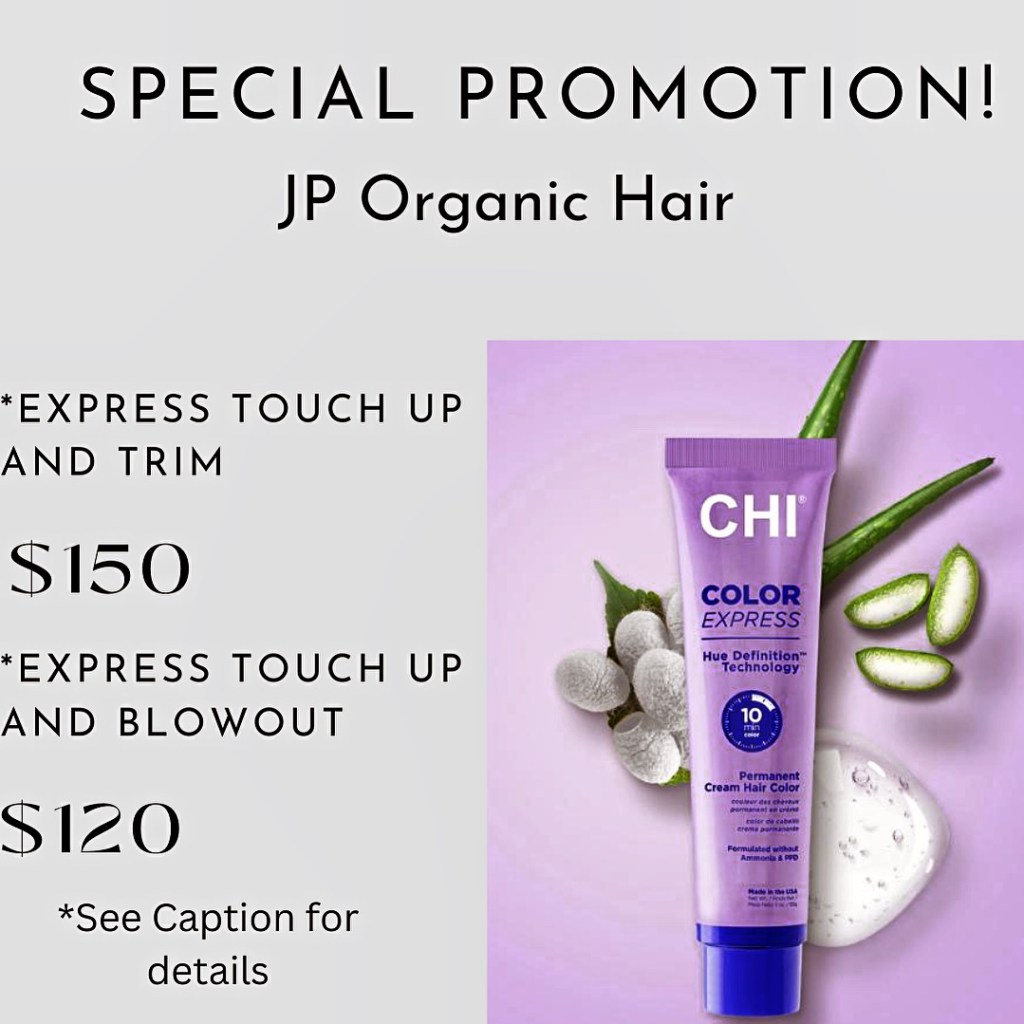 Chi Color Express! – Organic Hair Colorist